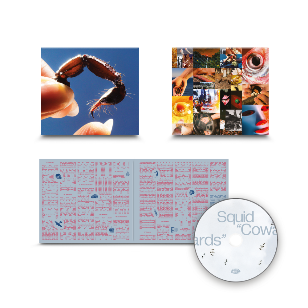 Squid – Cowards - WARP