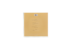 In Another Lifetime by Tinlicker | Releases | Anjunadeep