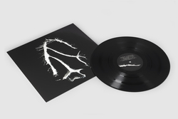 Everything Squared by Seefeel - Releases - WARP