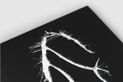 Everything Squared by Seefeel - Releases - WARP