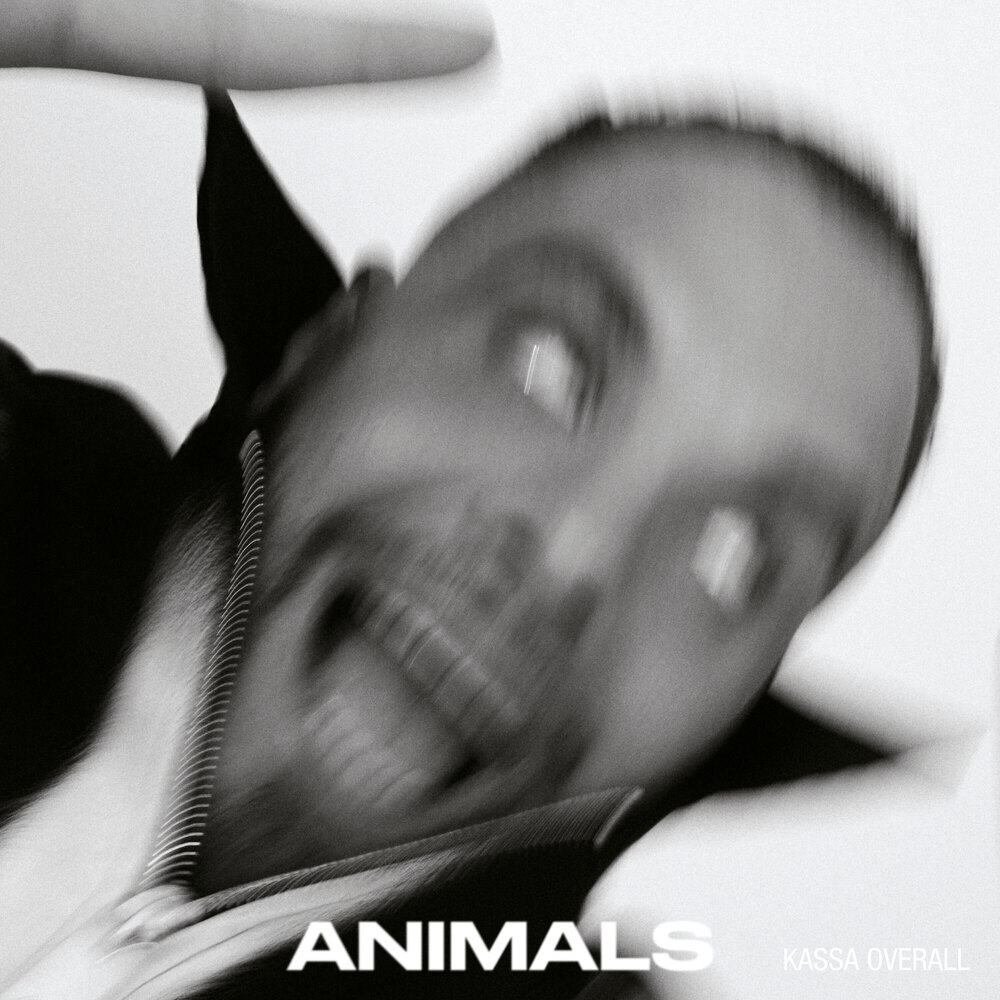Animals - WARP
