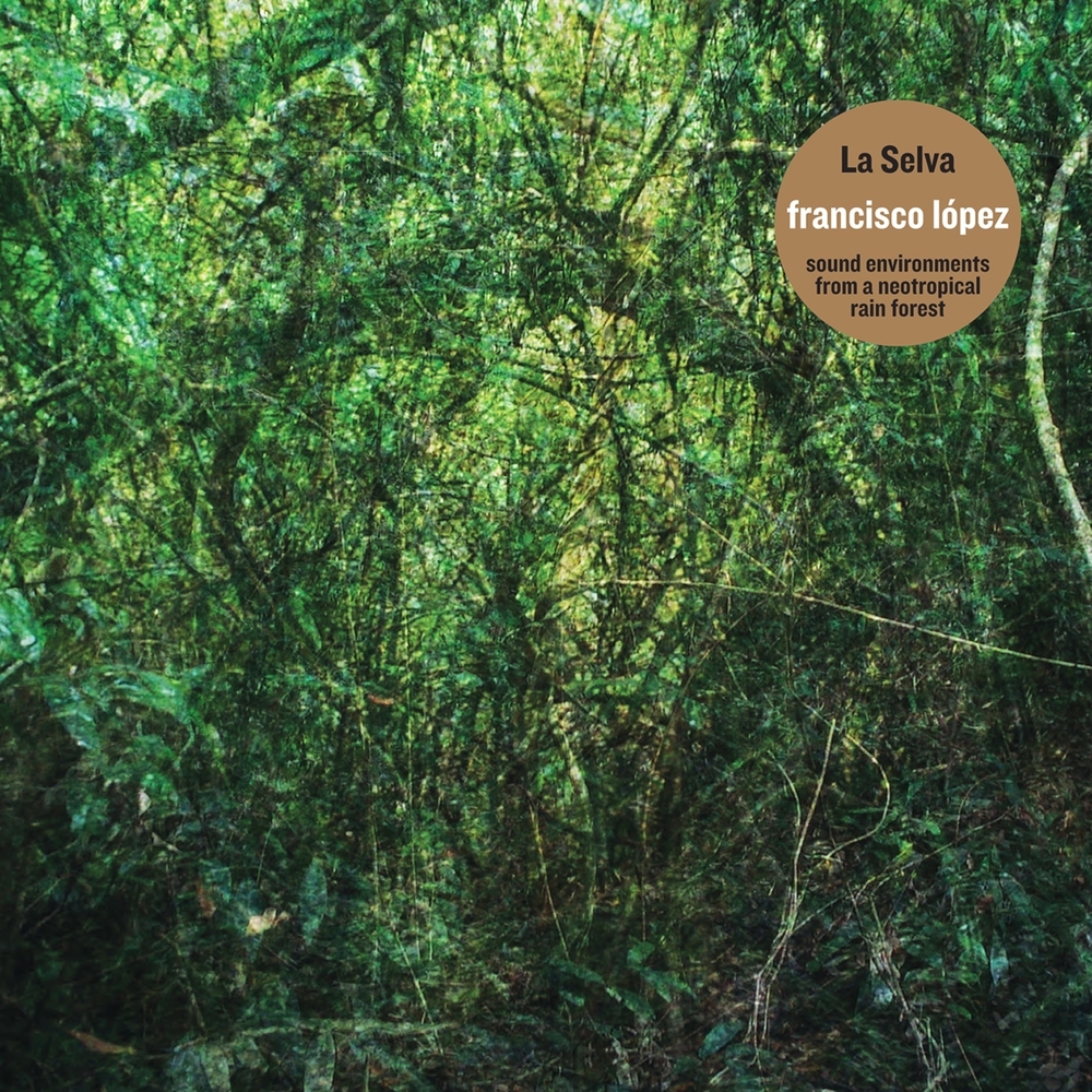 Sonidos De La Selva Tropical