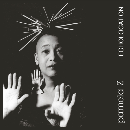 Pamela Z - Echolocation. Bleep.