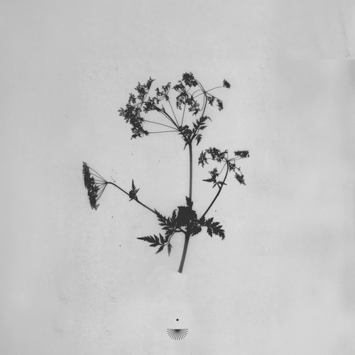 Closer To You by Cephas Azariah & Robyn Sherwell | Releases | Anjunadeep