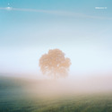 Reflections 08 by Various Artists | Releases | Anjunadeep